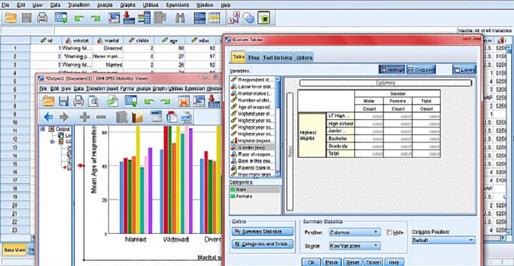 Phần mềm SPSS là gì? Hướng dẫn sử dụng SPSS chi tiết nhất cho người mới | Thị trường Today